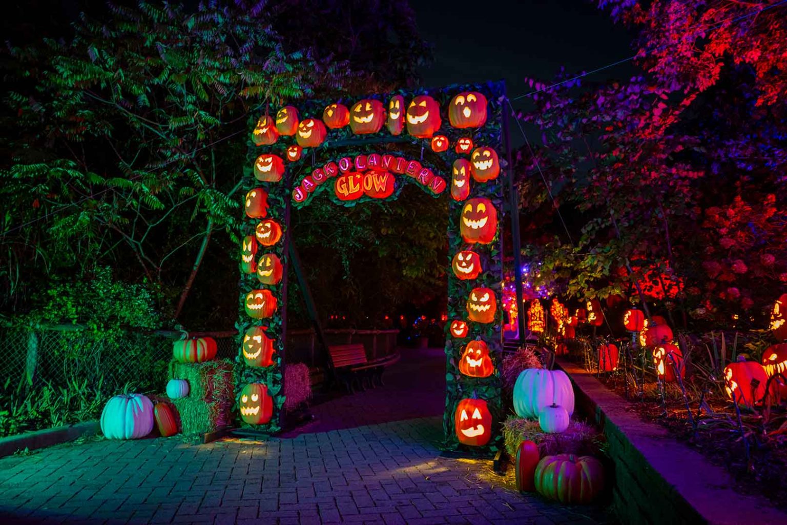 Jack O'Lantern Glow Halloween Family Light Show Cincinnati